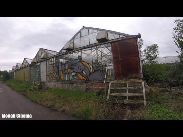 Прогулка по Тимирязевской академии уже после Г. Золиной