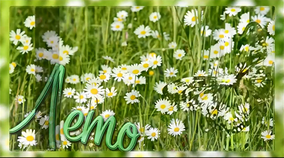 ЛЕТО 2021