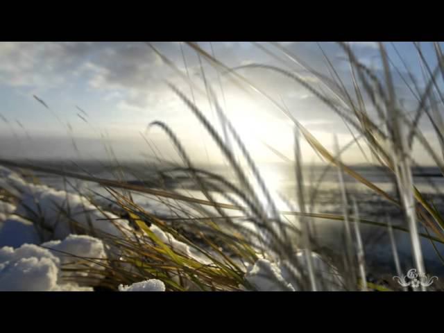 Весна.  Футаж 3. Скачать бесплатно.