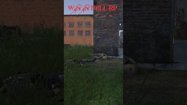 WIN IN HELL RP / DAYZ / НАША ВЗЯЛА