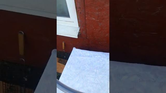 Корневой полив. Готовим бутылки