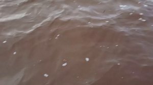 Рыбалка на Волхове