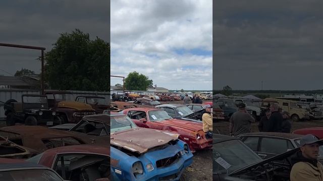 Coffee Walk Classic Cars Auction ,with Dennis Collins
