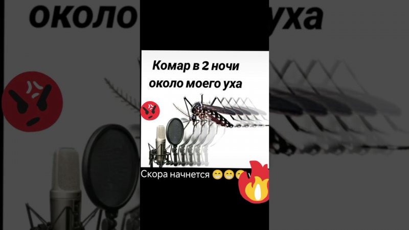 А вы ждёте лето #мёд