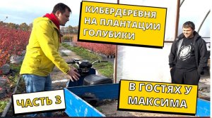 В гостях у Максима. Электрические помощники на плантации голубики. Часть3.