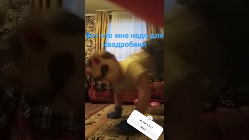 как вам видос?#квадробика#спорт#териан