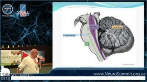 Edge Rehab в Teaching курсе 'Neuroscience  будущее нейрореабилитации'