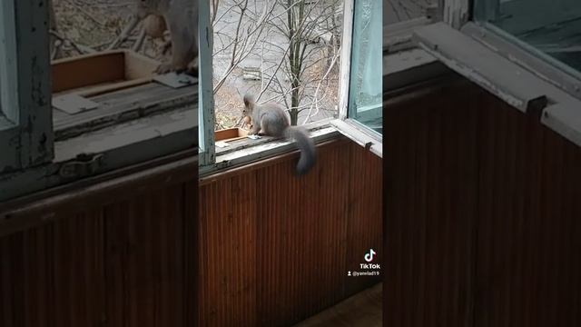 миссия выполнима