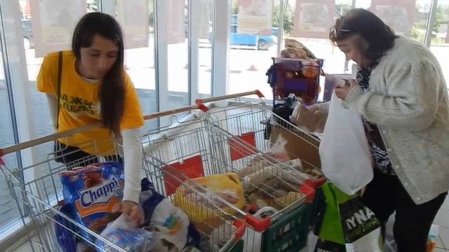 Акция Протяни руку лапе