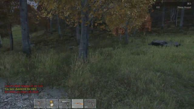DayZ Standalone: Оружие - CR75 без магазина против кучи зомби. Чуть не ...