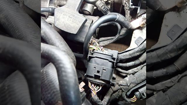 VID_20240917_161641.mp4