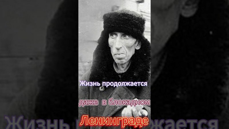 А жизнь продолжается