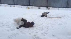 На глазах у брата чуть не съели брата?