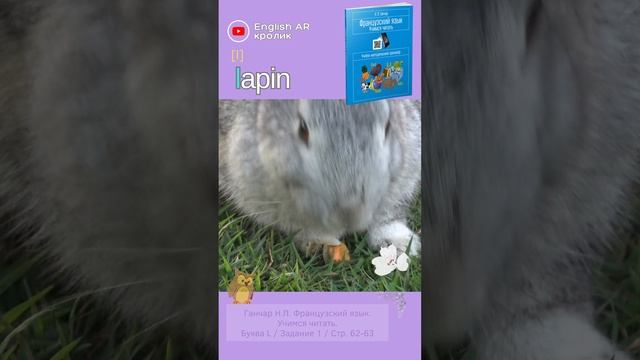 БГанчар Н.П. Французский язык. Учимся читать. Буква L