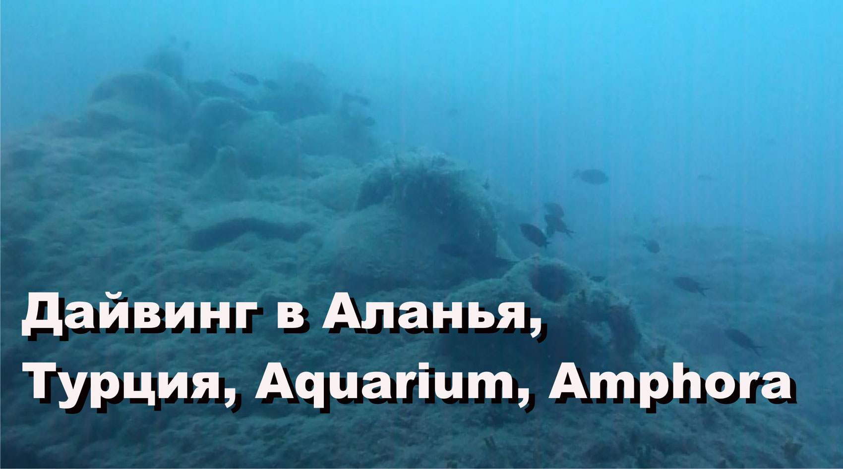 Дайвинг в Аланья, Турция. Аквариум, Амфора.  Scuba diving in Alanya, Turkey. Aquarium, Amphora.