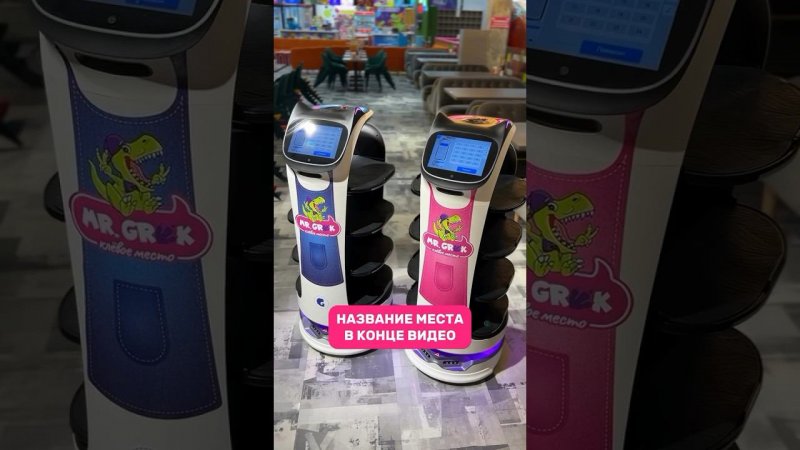 У нас в ресторане появились котики-помощники! г. Красноярск, ул. Алексеева, 54АТЦ REDSAIL #shorts