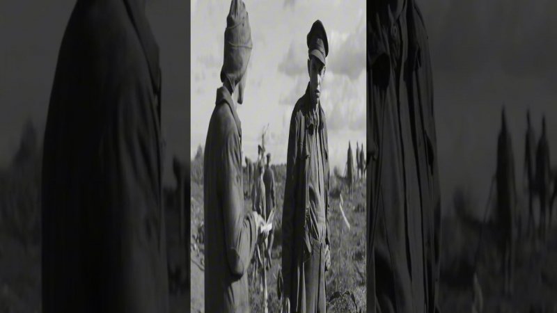 SABATON - Cliffs Of Gallipoli (rus cover) 2024