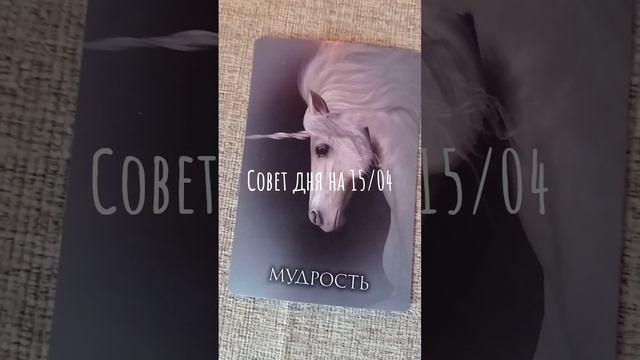Совет дня на 15/04    1649997156592.mp4
