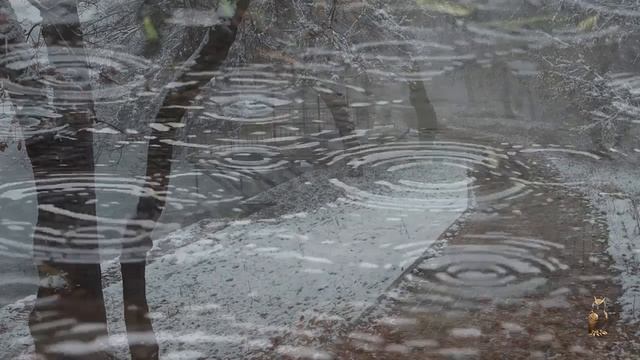 БОРИС ПАСТЕРНАК Достать чернил и плакать.mp4