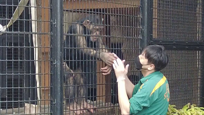 Impressions from Nogeyama Zoological Garderns in Yokohama