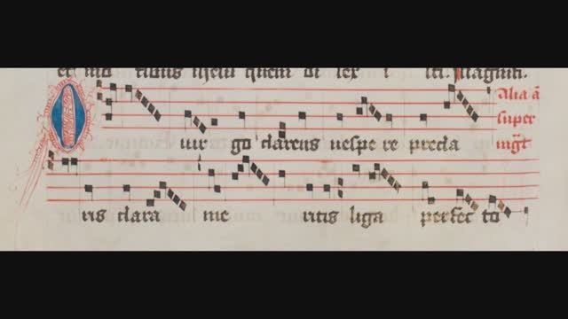 O virgo clarens vespere