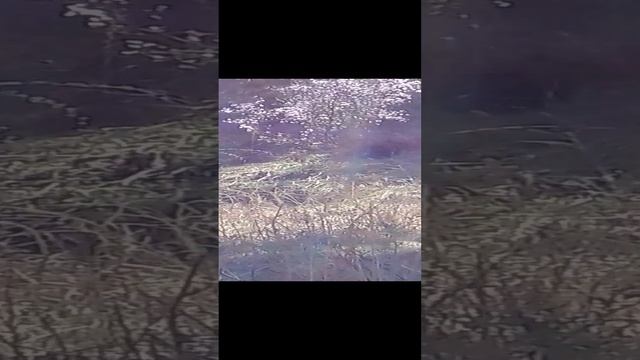 территория Горноалтайской епархии.mp4