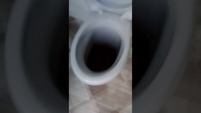 VID-20240604-WA0046.mp4
