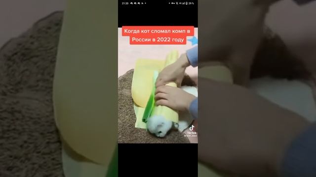 44745f79fbf7b2a11b528704c85c9418.mp4