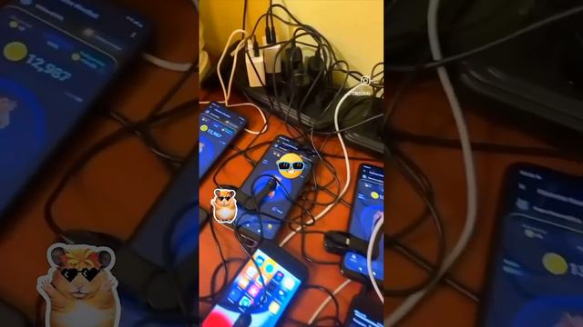 Hamster Kombat