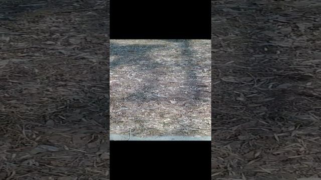 Доброе утро, мир!mp4