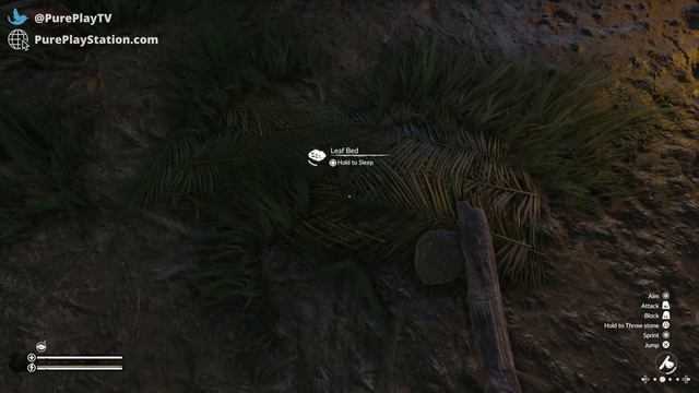 Green Hell PS5, PS4 Review - Welcome to the (Deadly) Jungle! | Pure ...