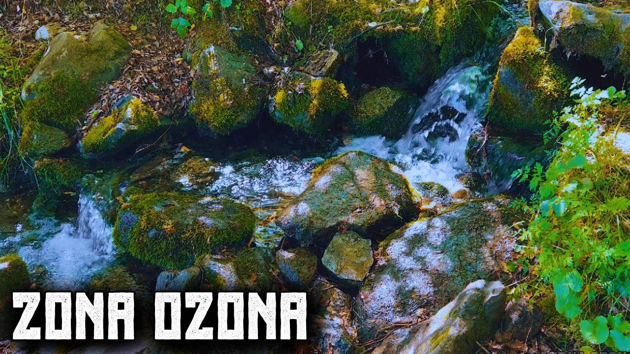 Успокаивающий шум холодного родника в жаркий летний день