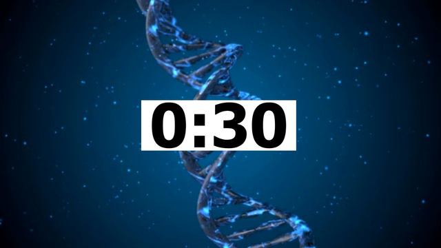 SCIENCE 03