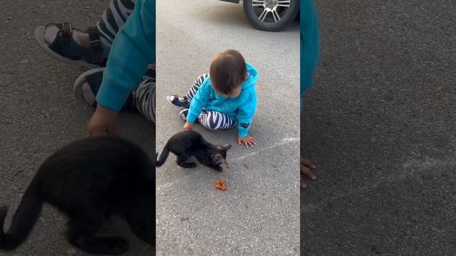 Играет с котенком #дети #мирка #котенок #cat #nature #play #summer