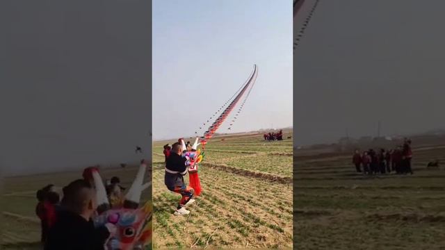Japanese dragon kite