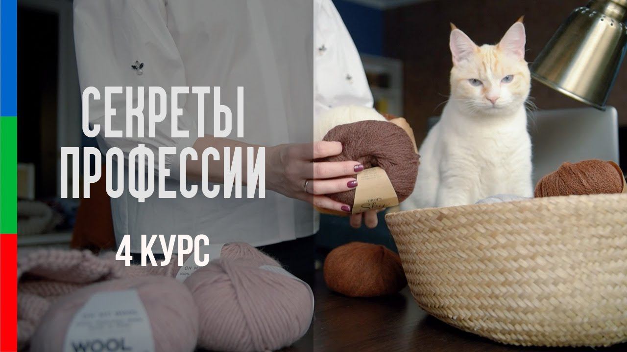 ДО42 Аникина Секреты профессии