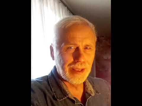Жеребёнок со стриженной гривой