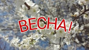 А в городе ВЕСНА!!! #краснодар