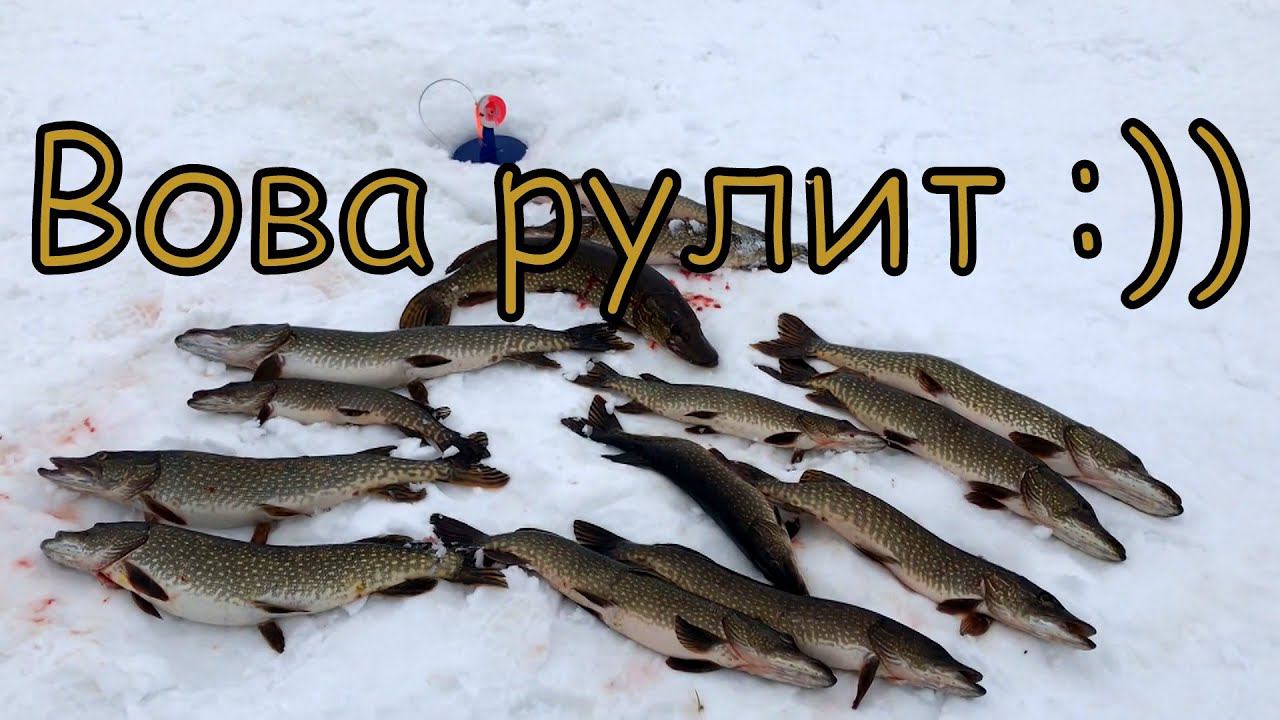 Рыбалка или самоизоляция))) Щука на жерлицу