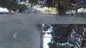 360 VR Canalejas Park with giant ficus trees in Alicante, Spain
