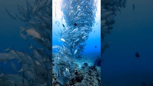 VID_20221220_222607_376.mp4