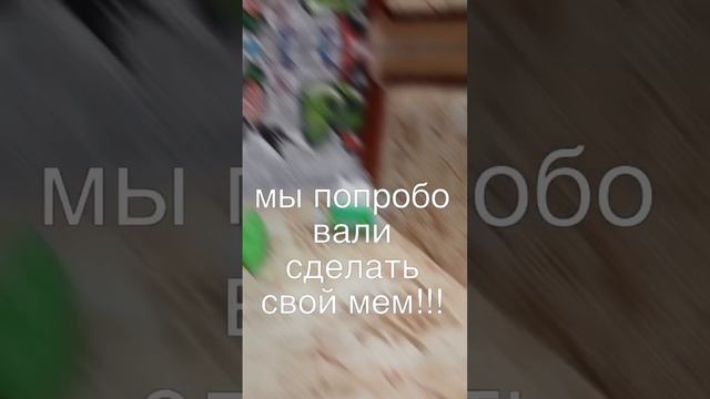 мы попробовали сделать свой hamster mem .