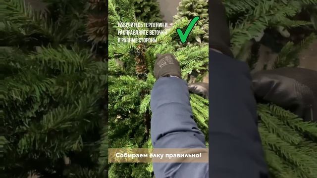 Как правильно собирать нашу елку