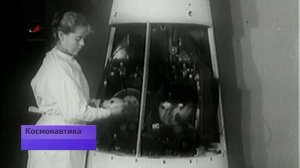 «Ноев ковчег» для космоса