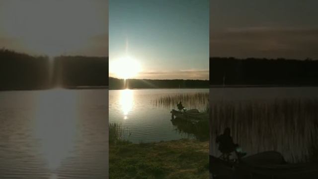 Мысли.mp4