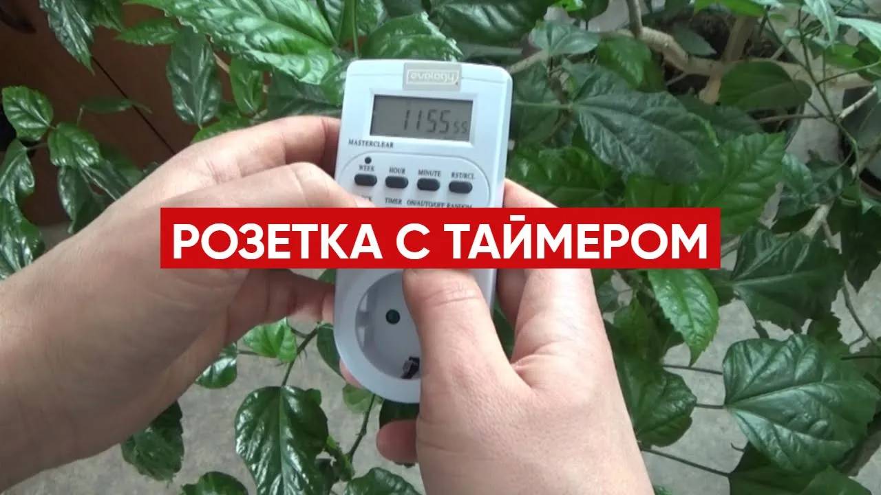 Розетка с таймером / Настройка / Подсветка рассады