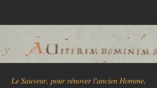 Veterem hominem