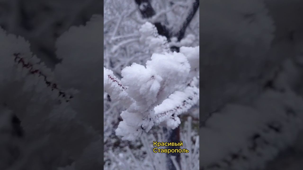 Узоры рисует туман и мороз