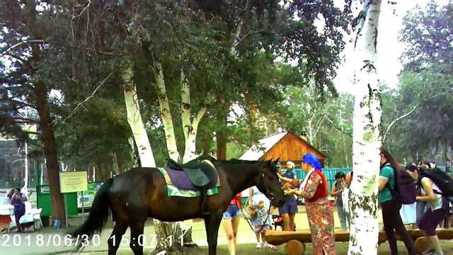 Бурятский народный ритуал освящения коня шаманом.