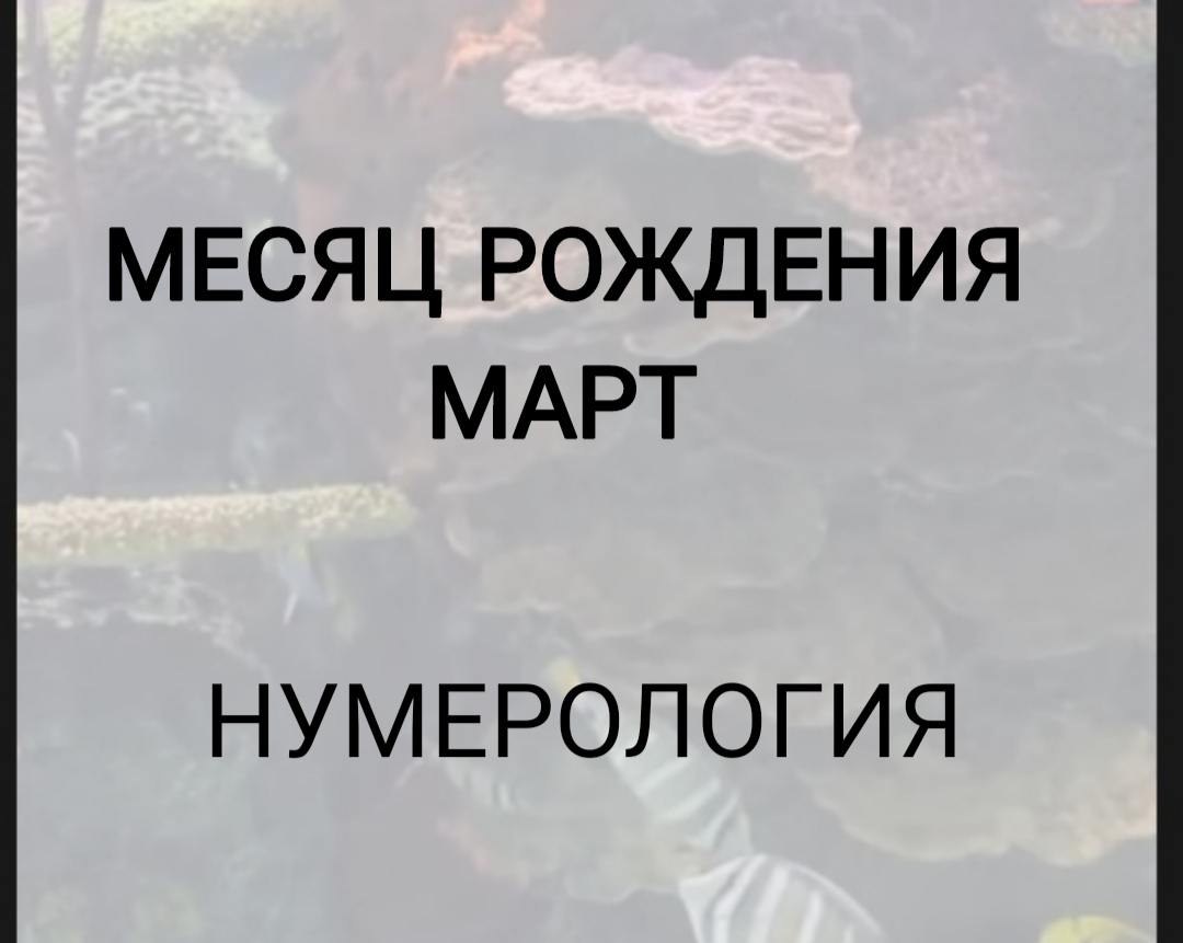 lv_0_20230310131519